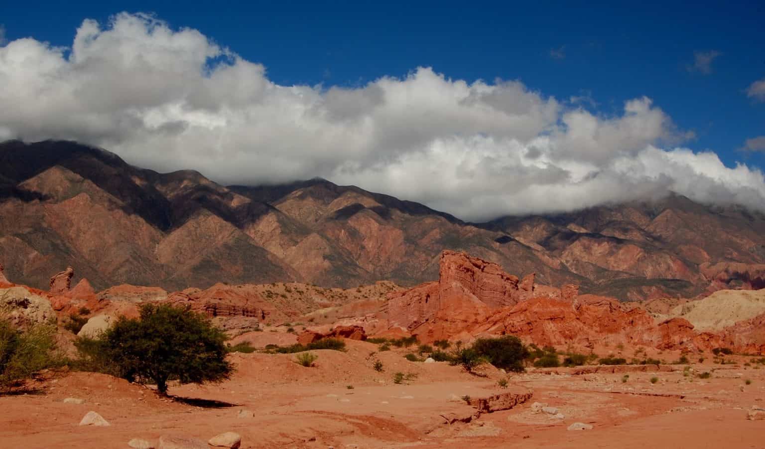 Discover the Charm of Salta: A Guided Walking Tour – Opatrip