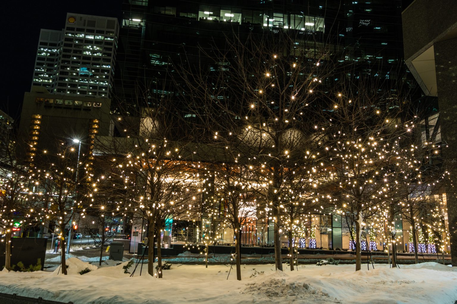 Merry Walking Tour “Christmas Stories of Calgary” – Opatrip