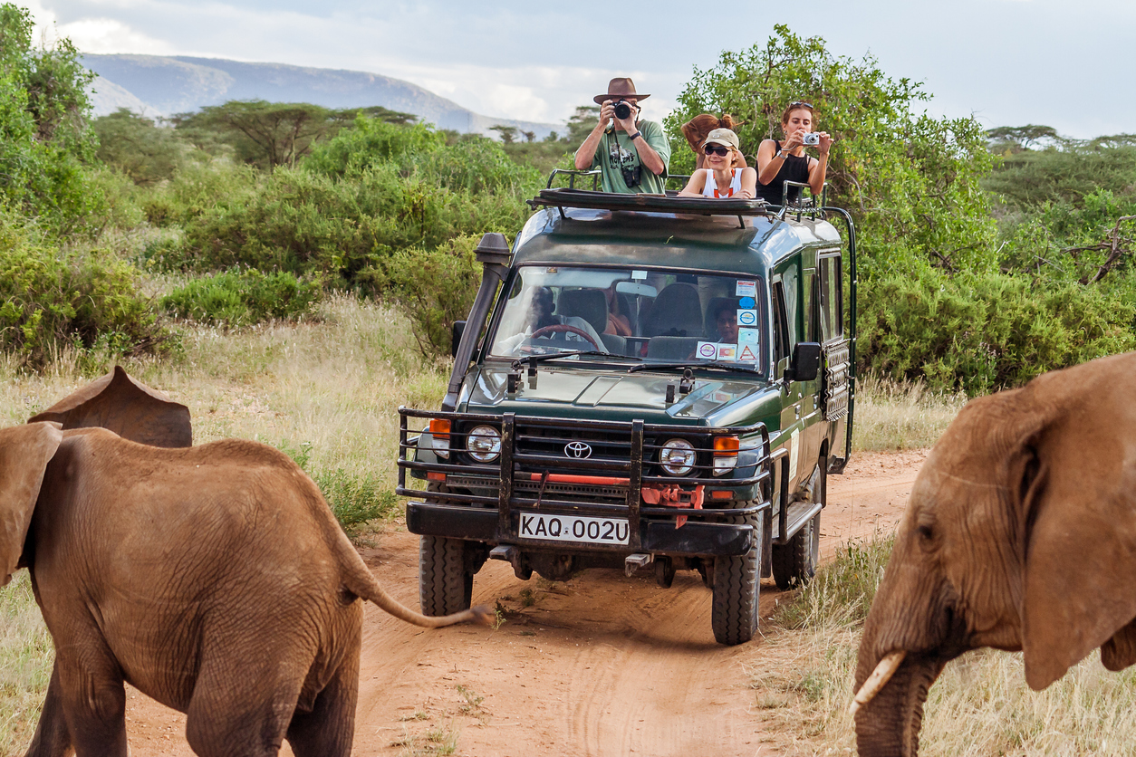 Nairobi’s Wild Heart: A Safari & Heritage Quest – Opatrip